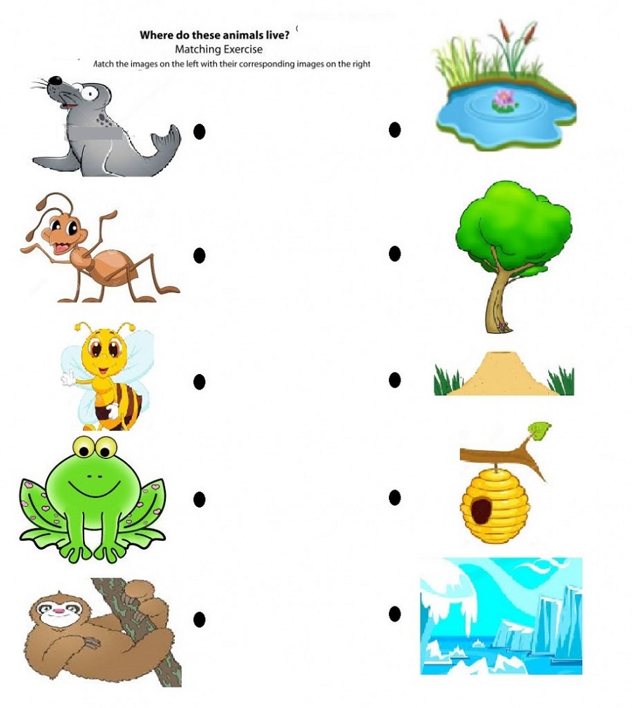 Activity Sheets For 4 Year Olds K5 Worksheets Activity Sheets For 4 Year Olds K5 Worksheets