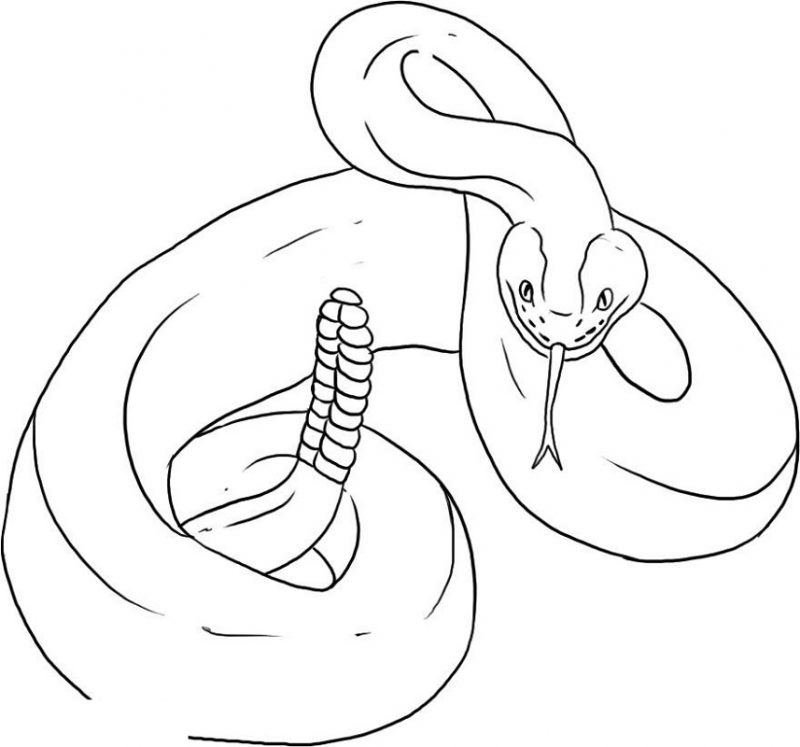 Rattlesnake Coloring Page Printable | K5 Worksheets