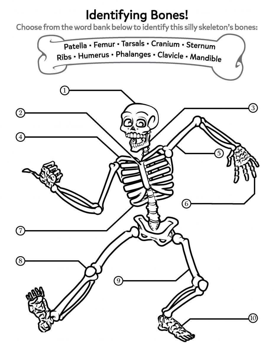 Fun Worksheets For Elementary Students Various Materials K5 Worksheets